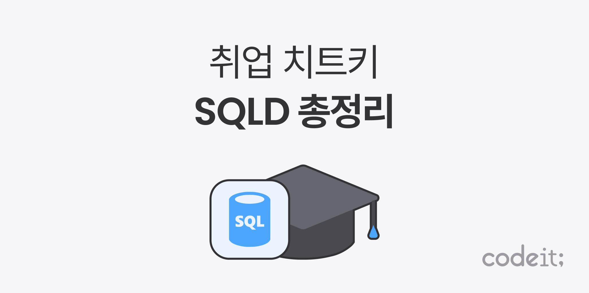취업 치트키 SQLD(SQL개발자) 자격증 총정리 (SQL이란, 자격시험, 공부법)